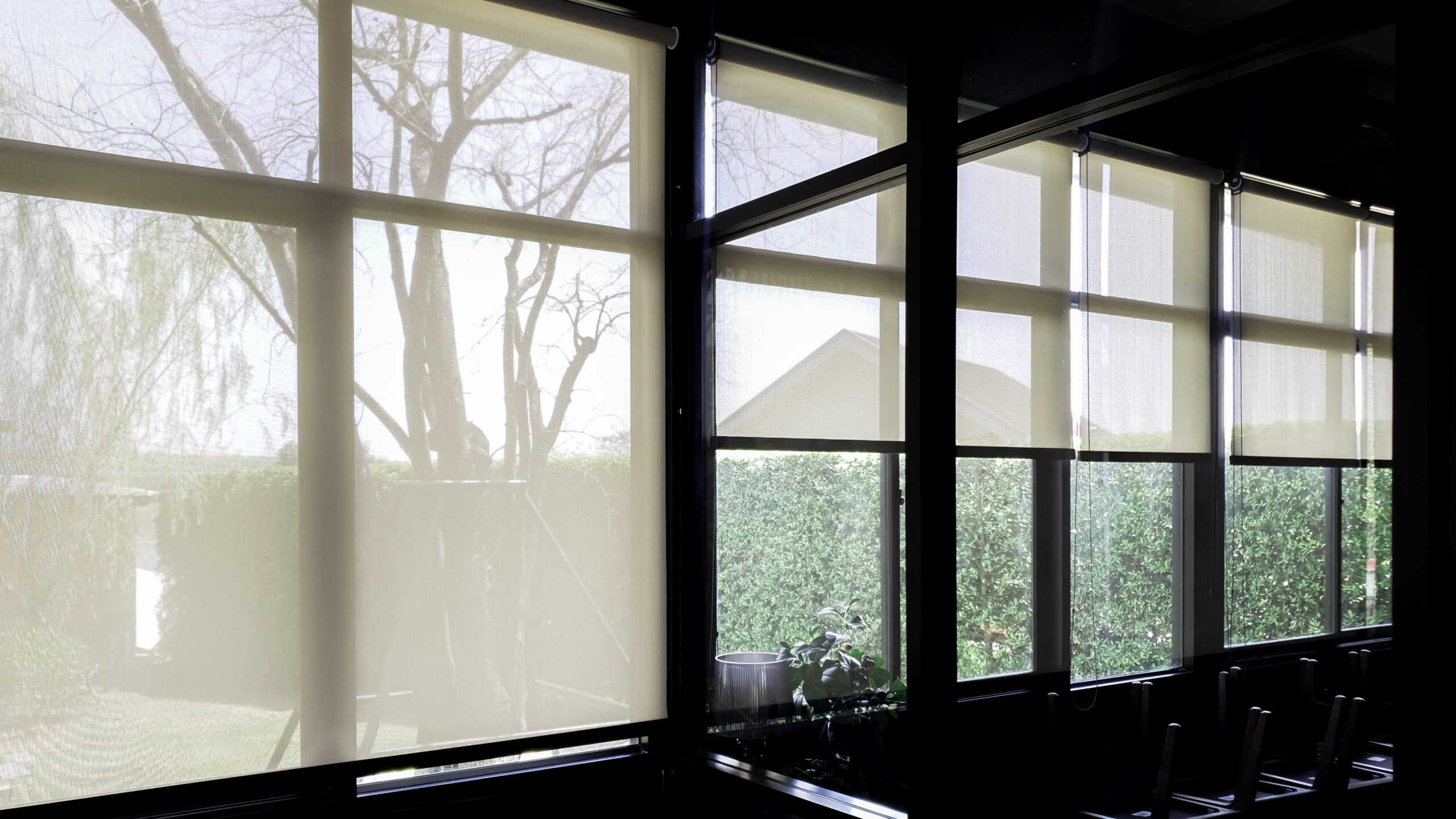 Roller Shades - WDiaz Window Shades